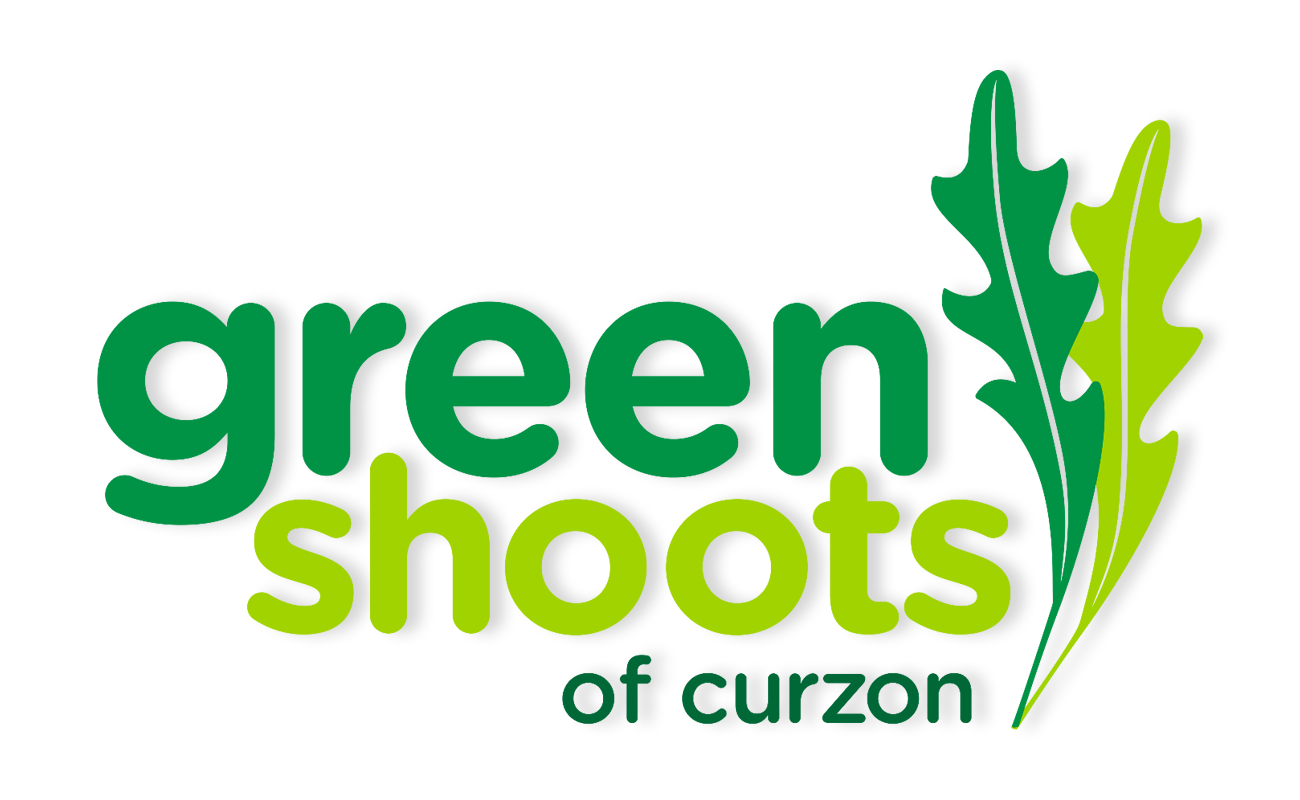 Green Shoots Salads – Green Shoots fresh food to order